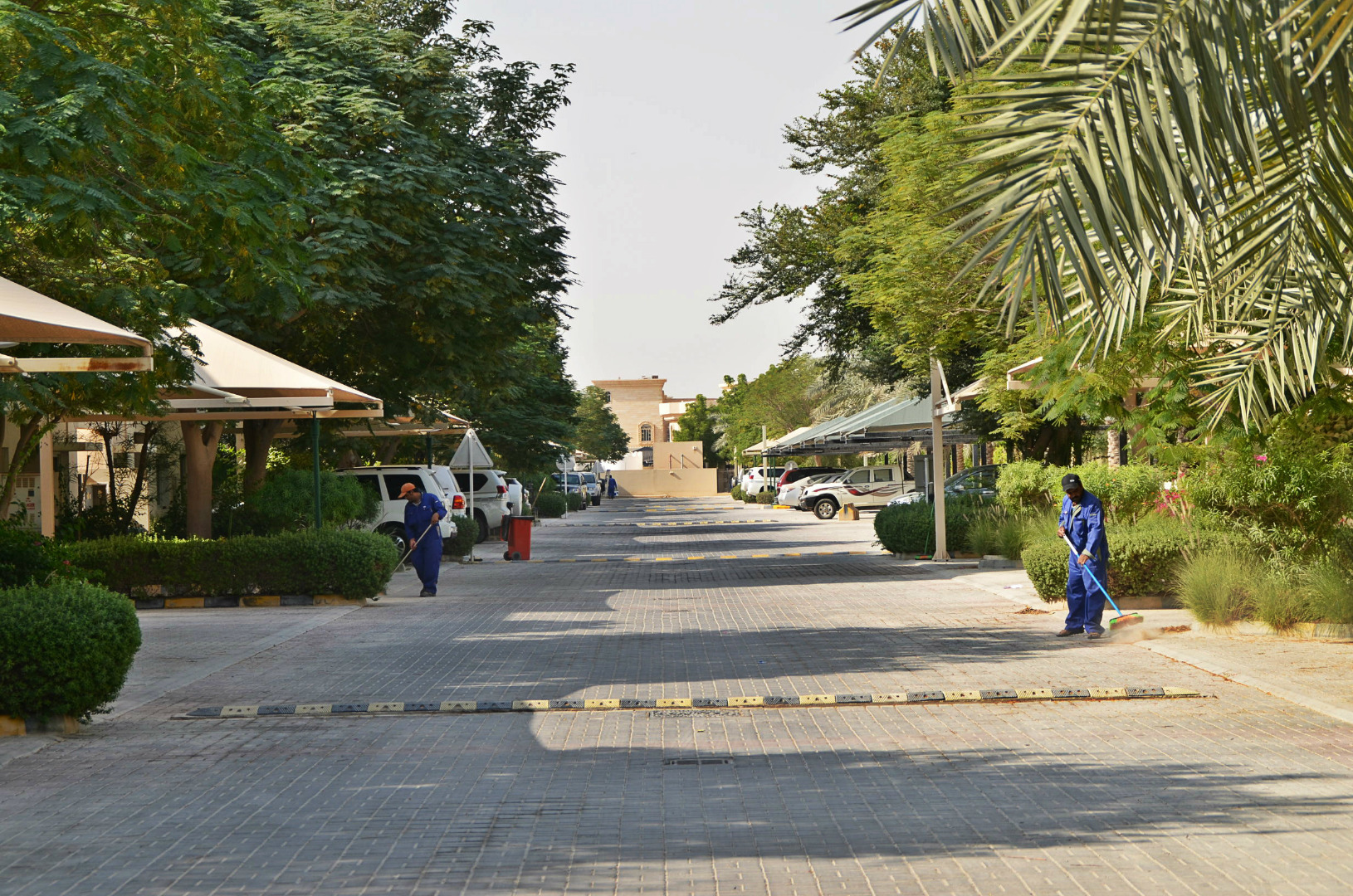 AL WADI | EQUINOX